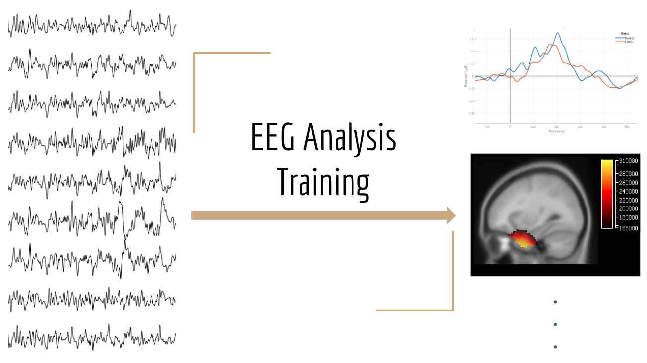 EEG Analysis Training